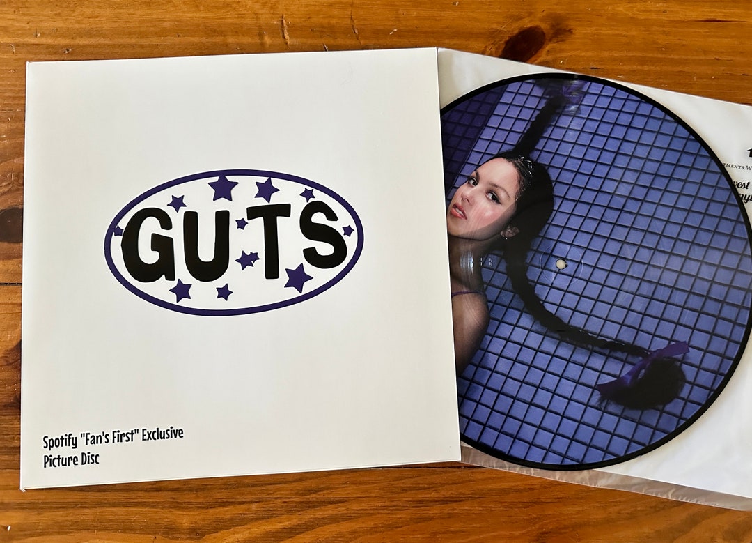 Guts 12” Picture Disc Custom Vinyl Sleeve - Etsy