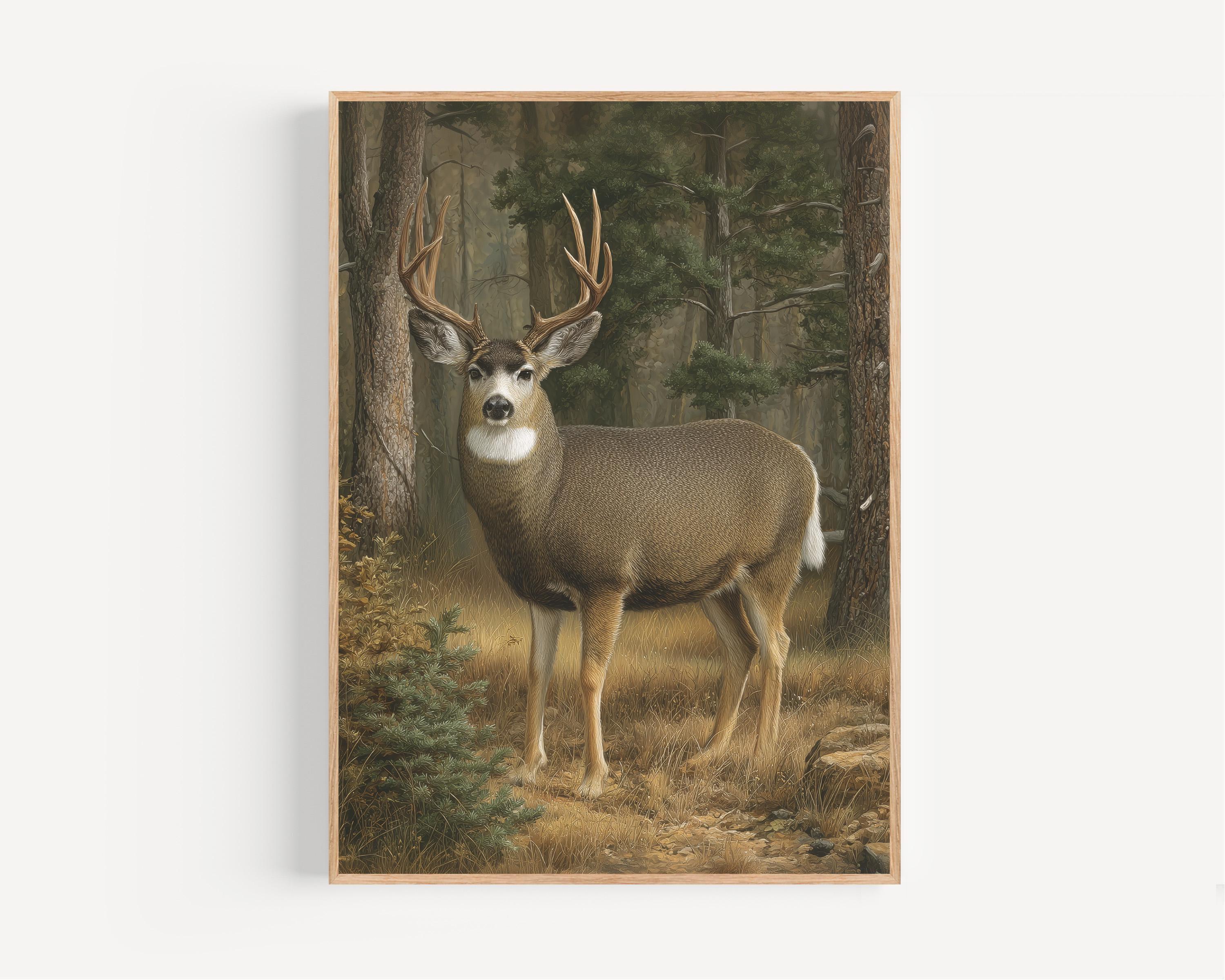 Mule Deer Realistic Oil Painting Print Framed Poster or Canvas ...