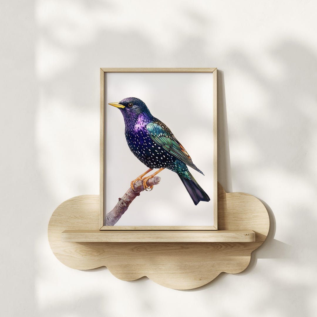 European Starling Watercolor Print, Framed Poster or Canvas, Bird Wall ...