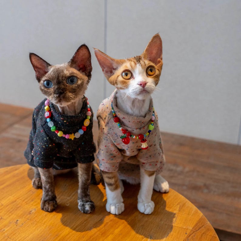 3 Colors Durable Warm Sweater for Sphynx & Devon Rex Cats, Simple ...