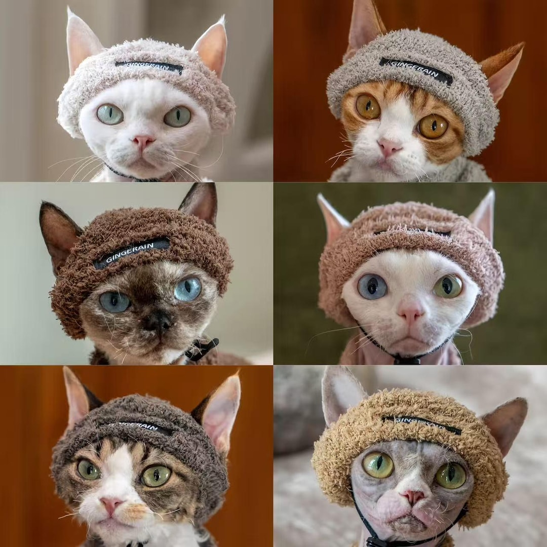 Knitted Cat Hat for Sphynx Cat, Winter Ear-out Beanie, Cozy Handmade ...