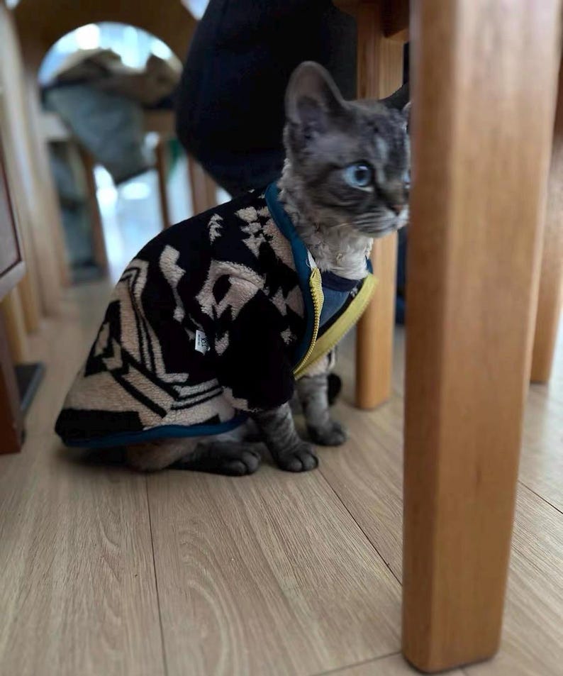 Sphynx Cat Fleece Jacket, 2-leg Sphynx Cat Jumper Jacket,hairless Cat ...