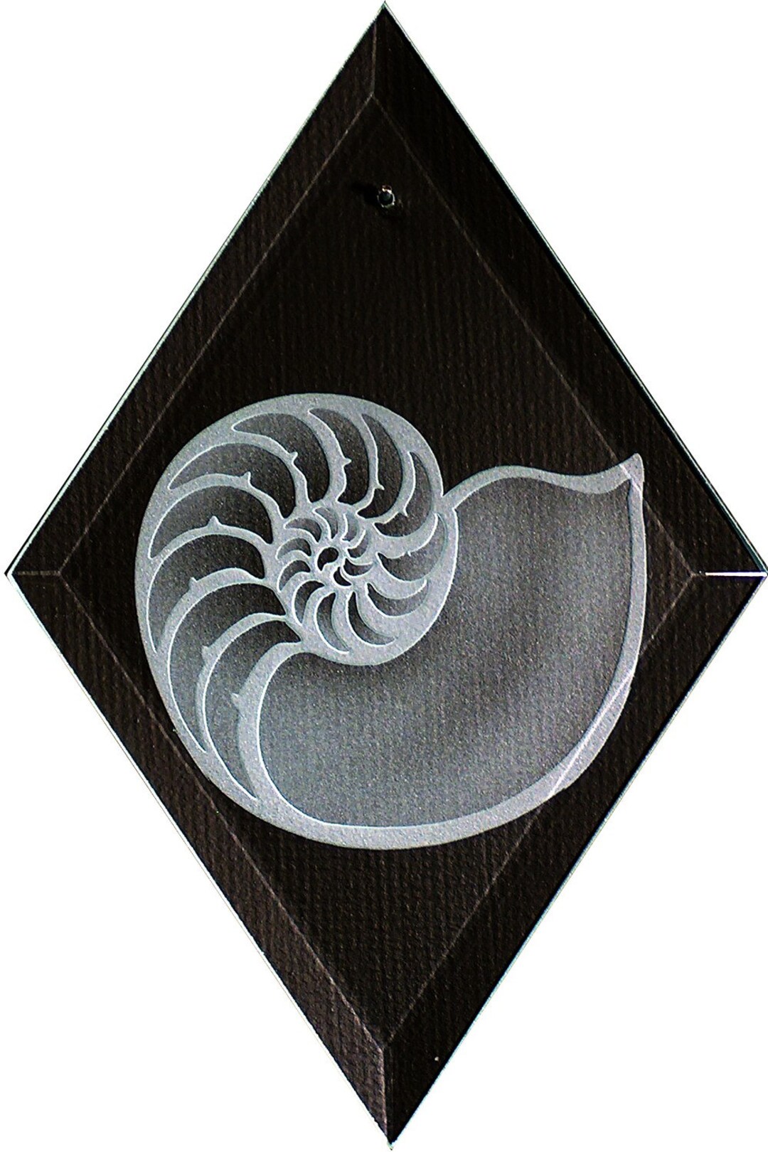 Carved Glass Nautilus Shell Hanging Suncatcher - Etsy