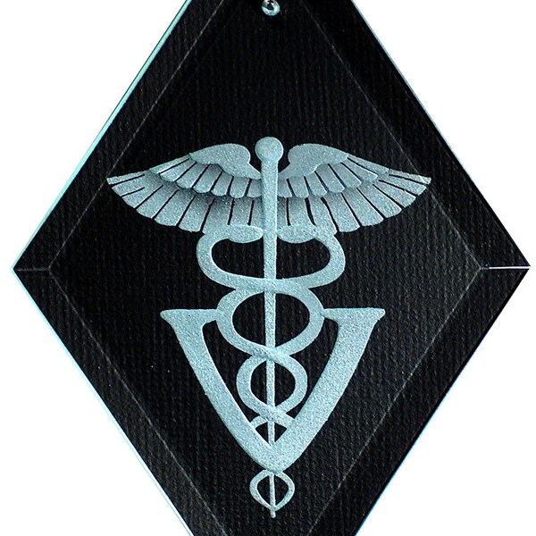Veterinary Caduceus - Etsy
