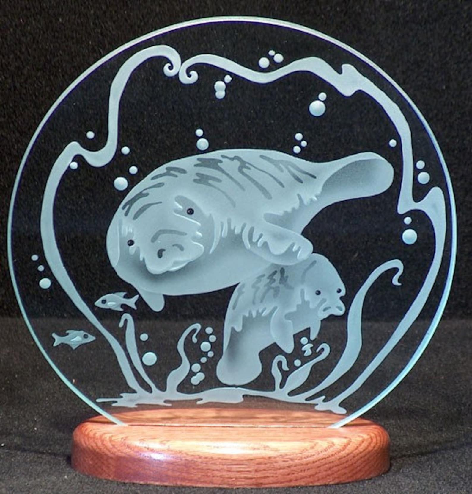 Carved Glass Manatee and Baby 9 In. Circle in Handcrafted Wooden Base ...