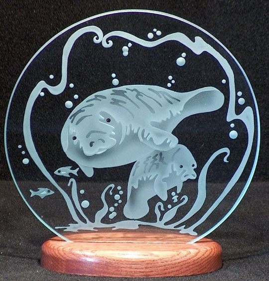 Carved Glass Manatee and Baby 9 In. Circle in Handcrafted Wooden Base ...