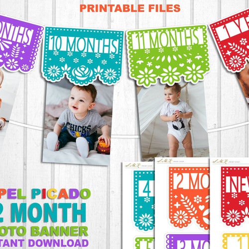 Papel Picado First Year Monthly Photo Banner First Fiesta - Etsy