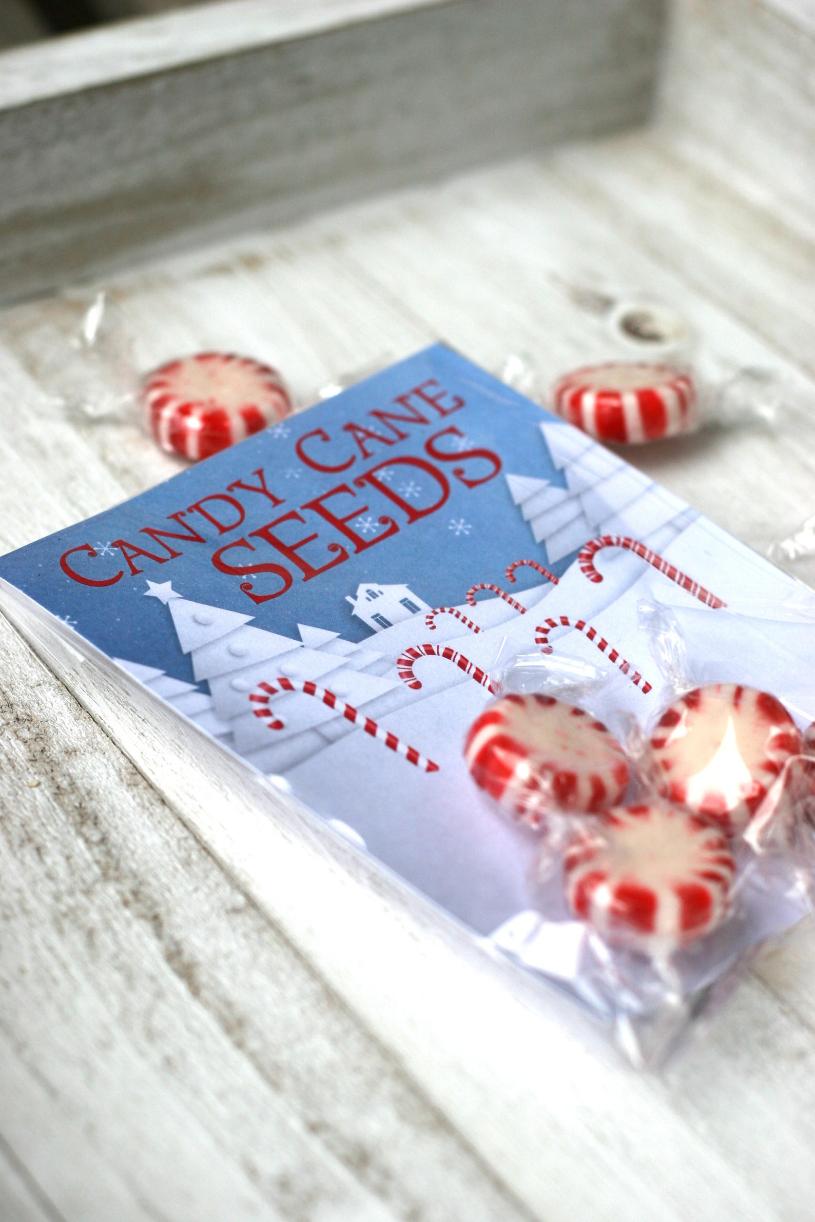 Candy Cane Seeds Candy Labels Printable Christmas Favor Bags | Etsy