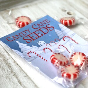 Candy Cane Seeds Candy Labels, Printable Christmas Favor Bags ...