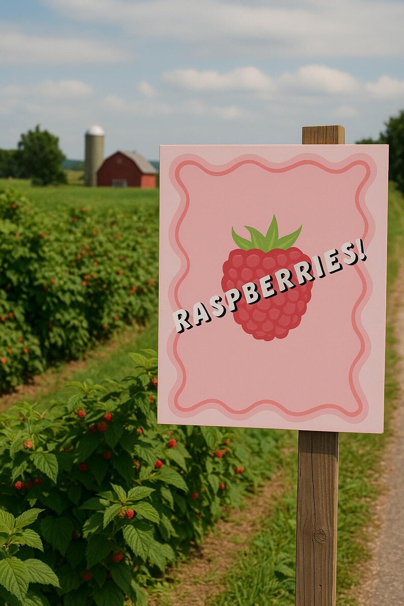 Raspberry Market Sign Printable – "raspberries!" Pink Fruit Stand Decor ...