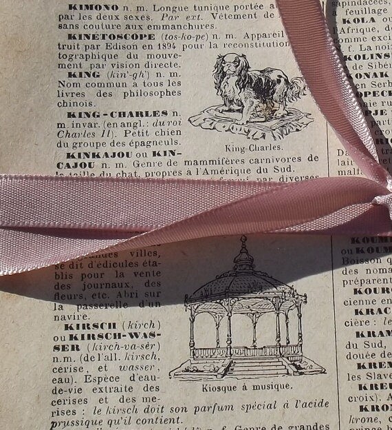 Bundle Vintage French Book Pages Illustrated Dictionary aged | Etsy