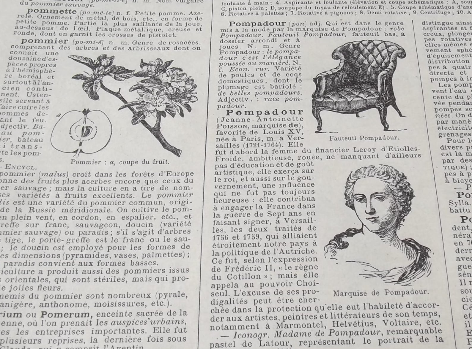 Bundle Vintage French Book Pages Illustrated Dictionary Aged 1930s ...