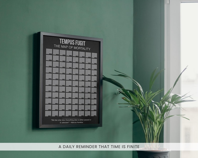 Tempus Fugit Life Calendar Printable | Map of Mortality Weeks Tracker ...
