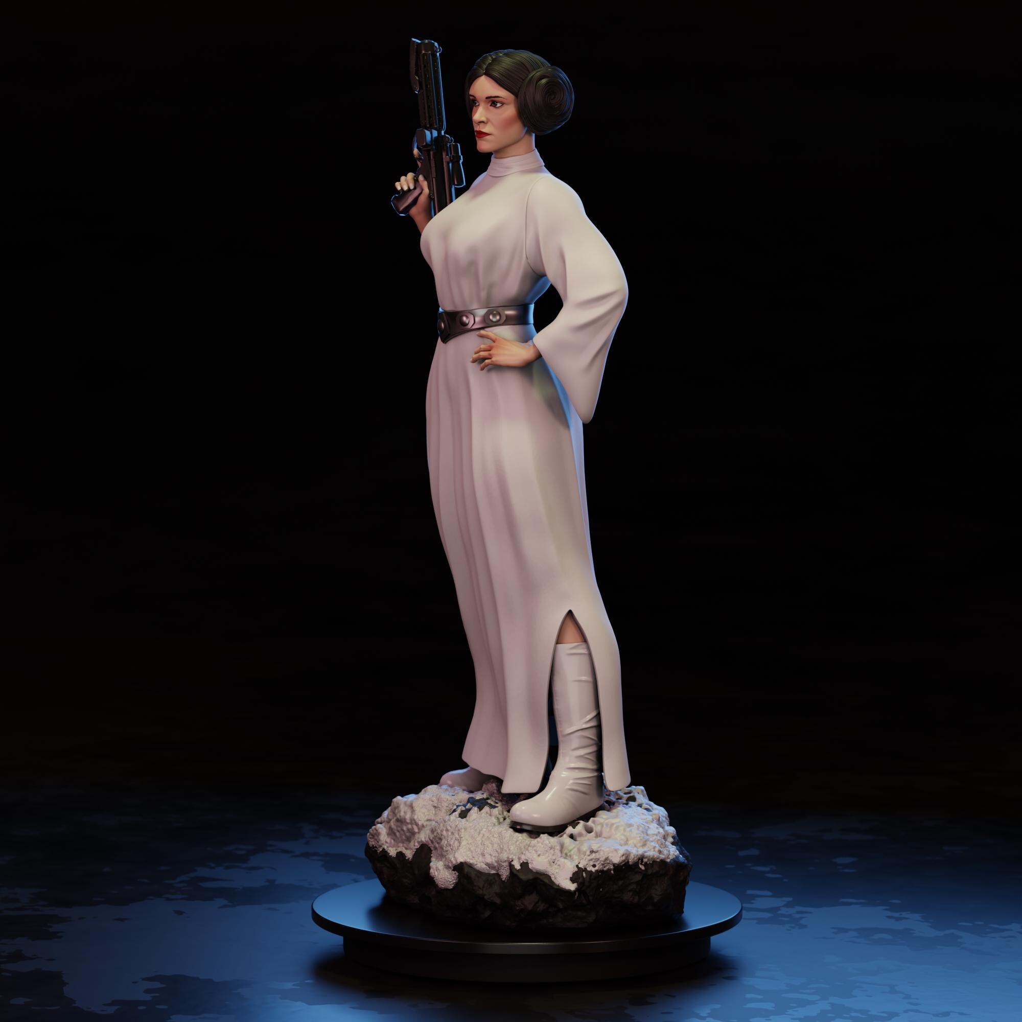 Princess Leia STL Model: Star Wars Resin Printer Figure - Etsy