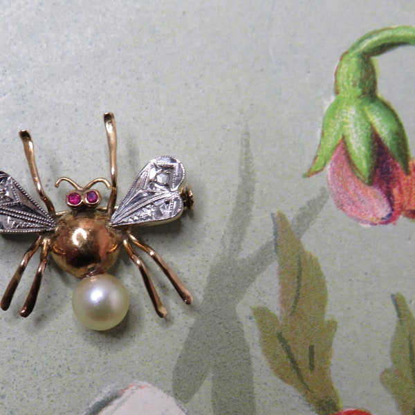 Bug Brooches - Etsy
