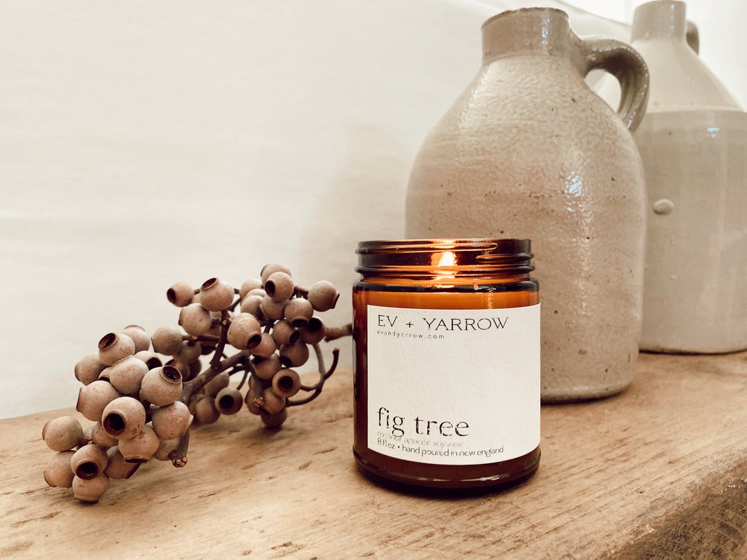 Fig Tree Refillable Wooden Wick Apricot Coconut Soy Candle Apothecary ...
