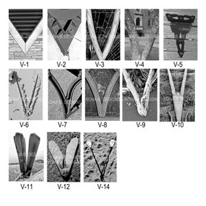 Letter V - Alphabet Photography - 4x6 Photo Letter - Unframed - Black ...