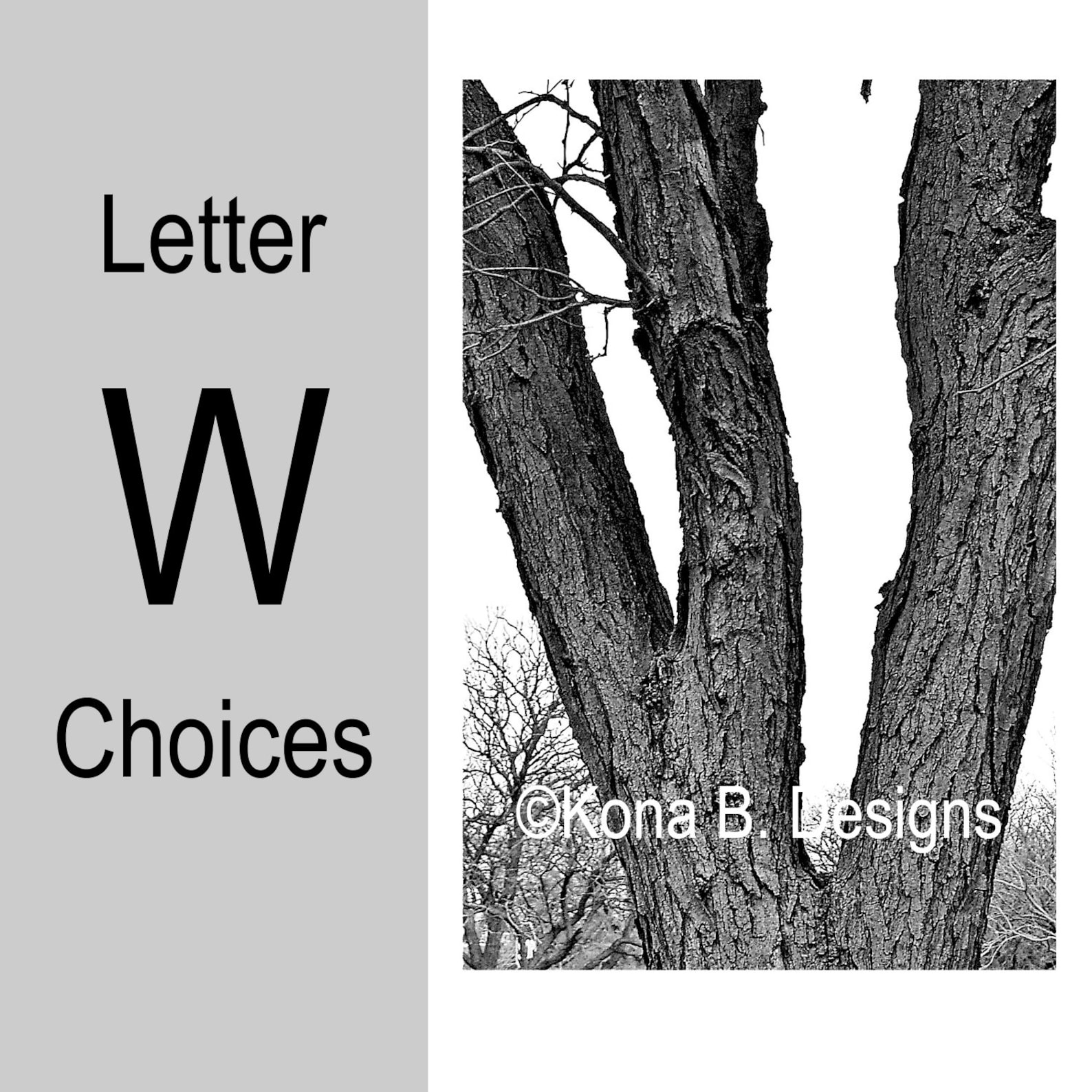 Letter W Alphabet Photography 4x6 Photo Letter Unframed - Etsy