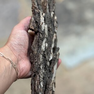 Large Wood Bark Piece, Rustic Natural Decor (floral Arrangement Supply ...