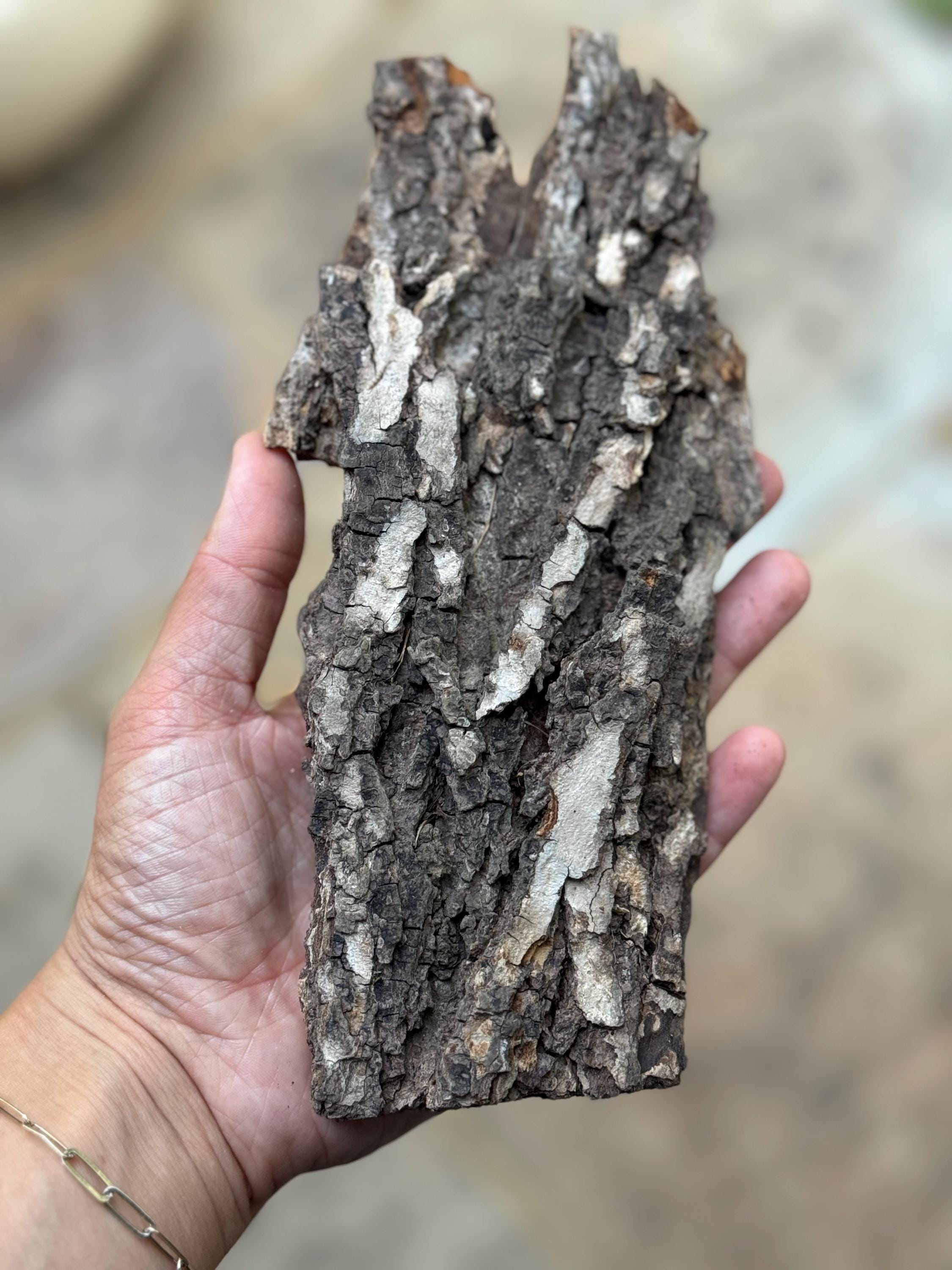 Large Wood Bark Piece, Rustic Natural Decor (floral Arrangement Supply ...