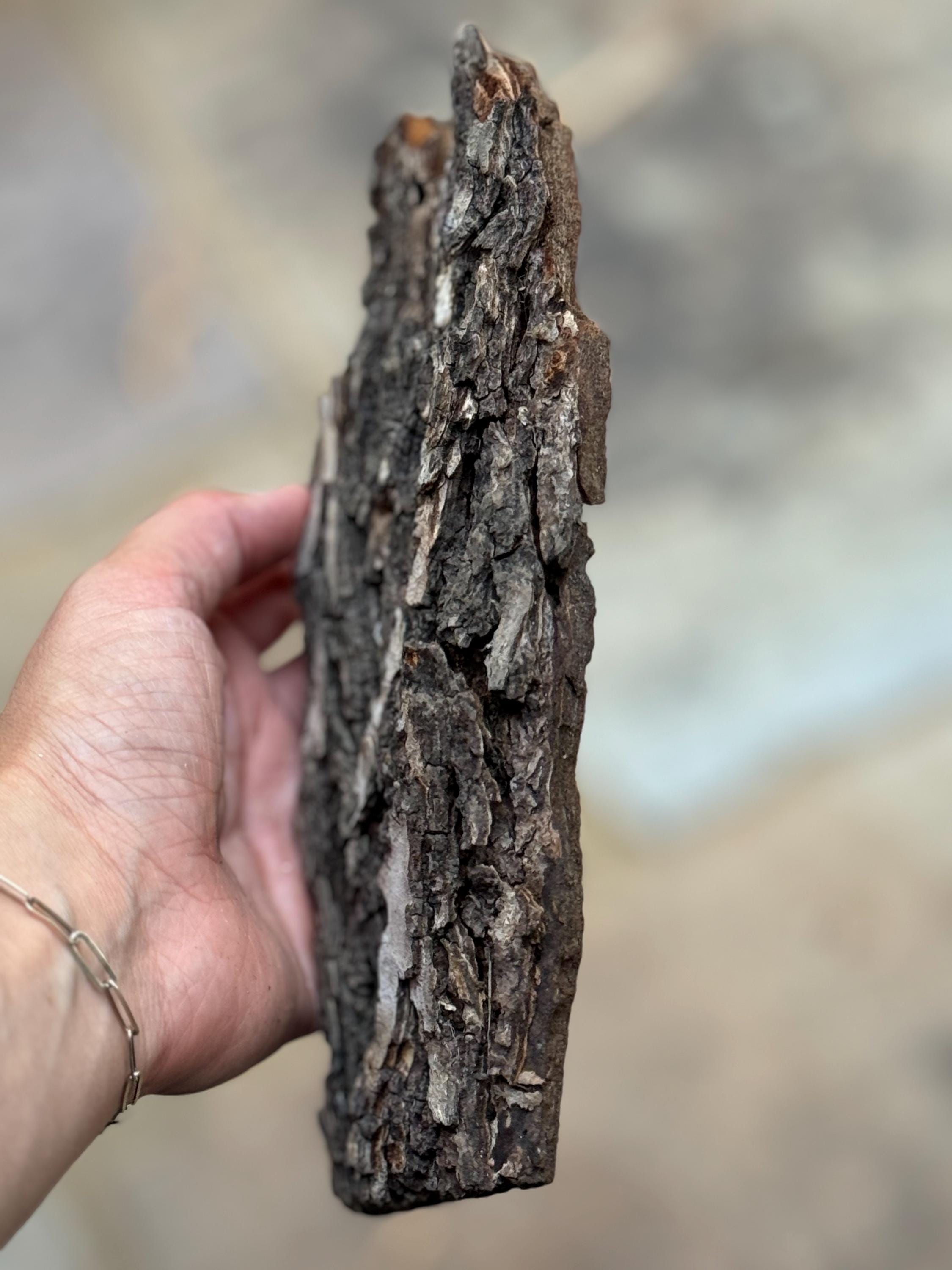 Large Wood Bark Piece, Rustic Natural Decor (floral Arrangement Supply ...