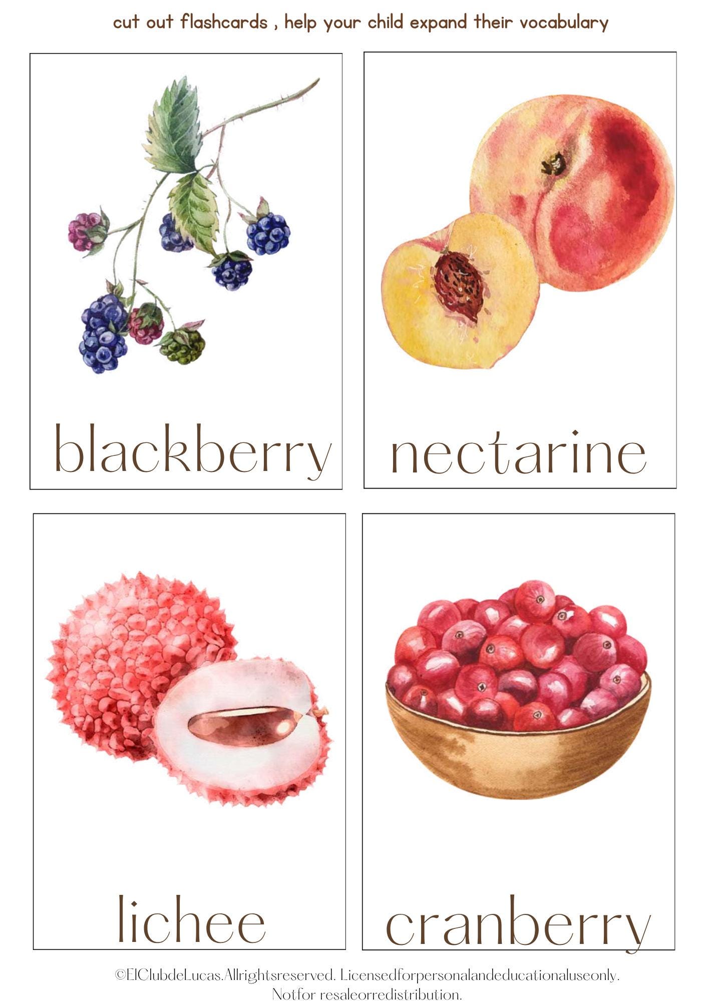 Fruit Flashcards Printable With 32 Cards Plus Clip the Letter Activity ...
