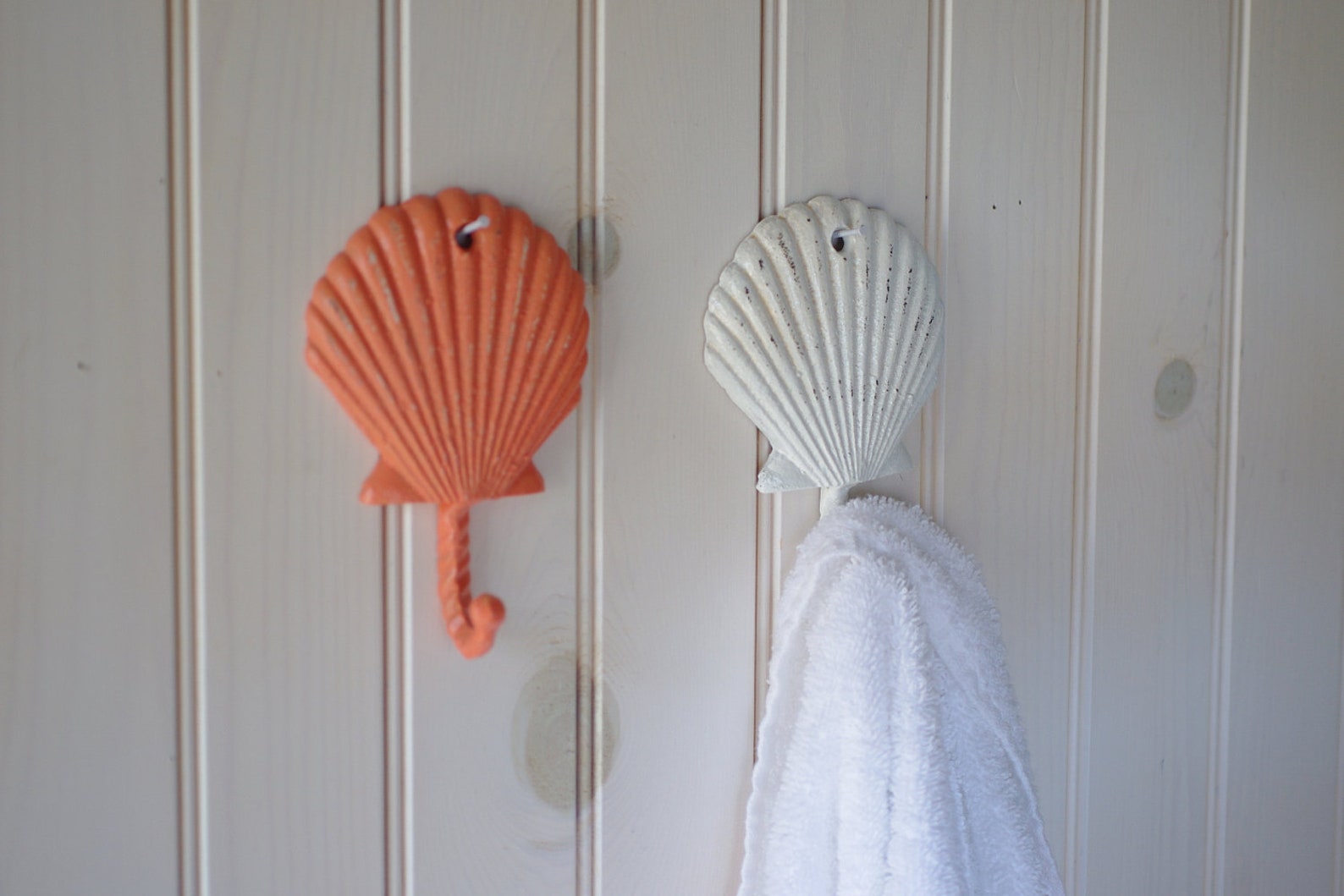 Seashell Wall Hook - Etsy