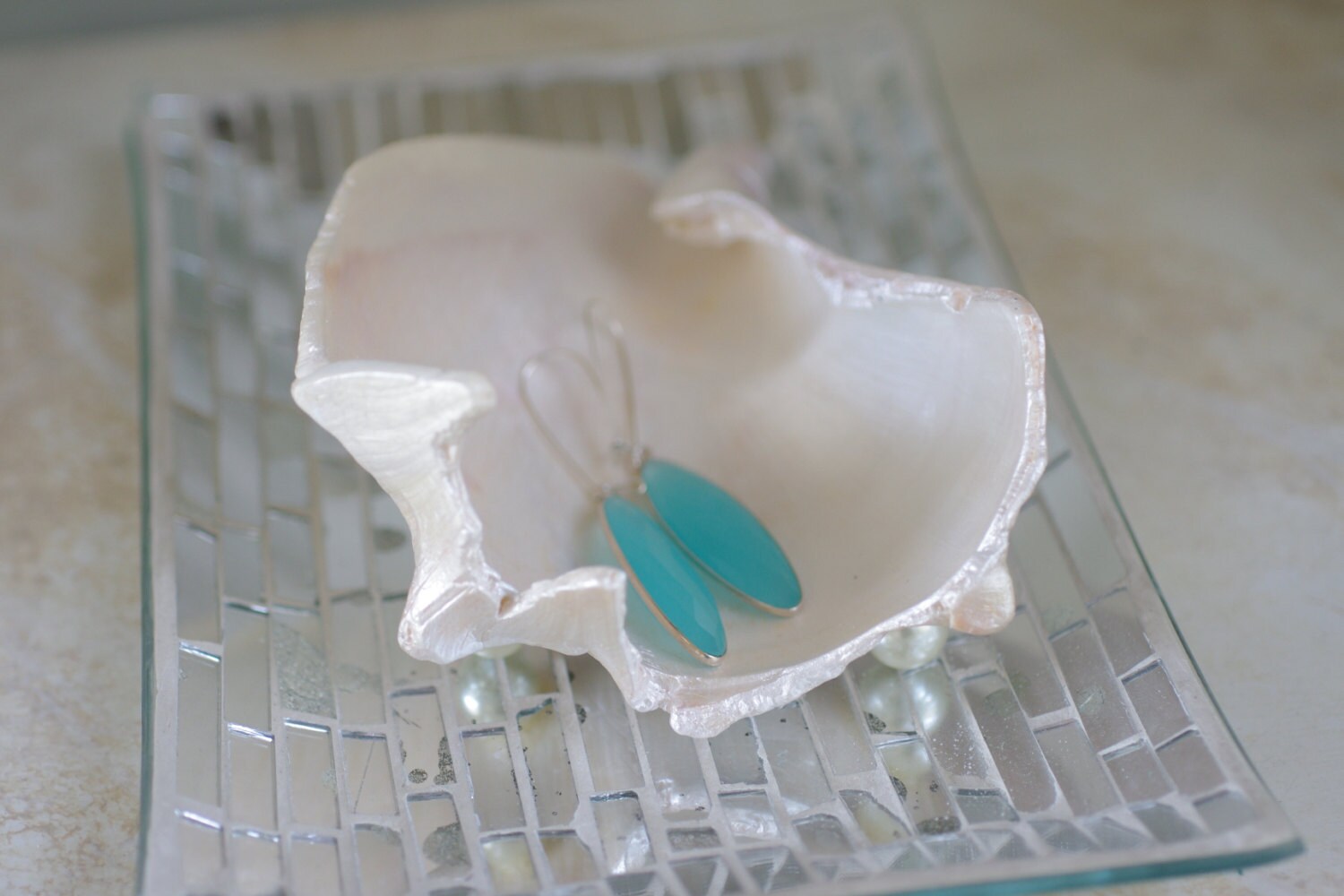 Conch Shell Trinket Dish | Etsy