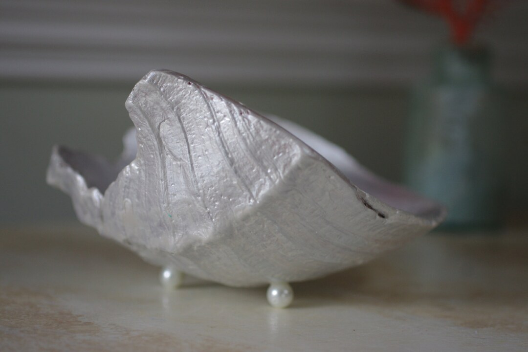 Conch Shell Trinket Dish - Etsy