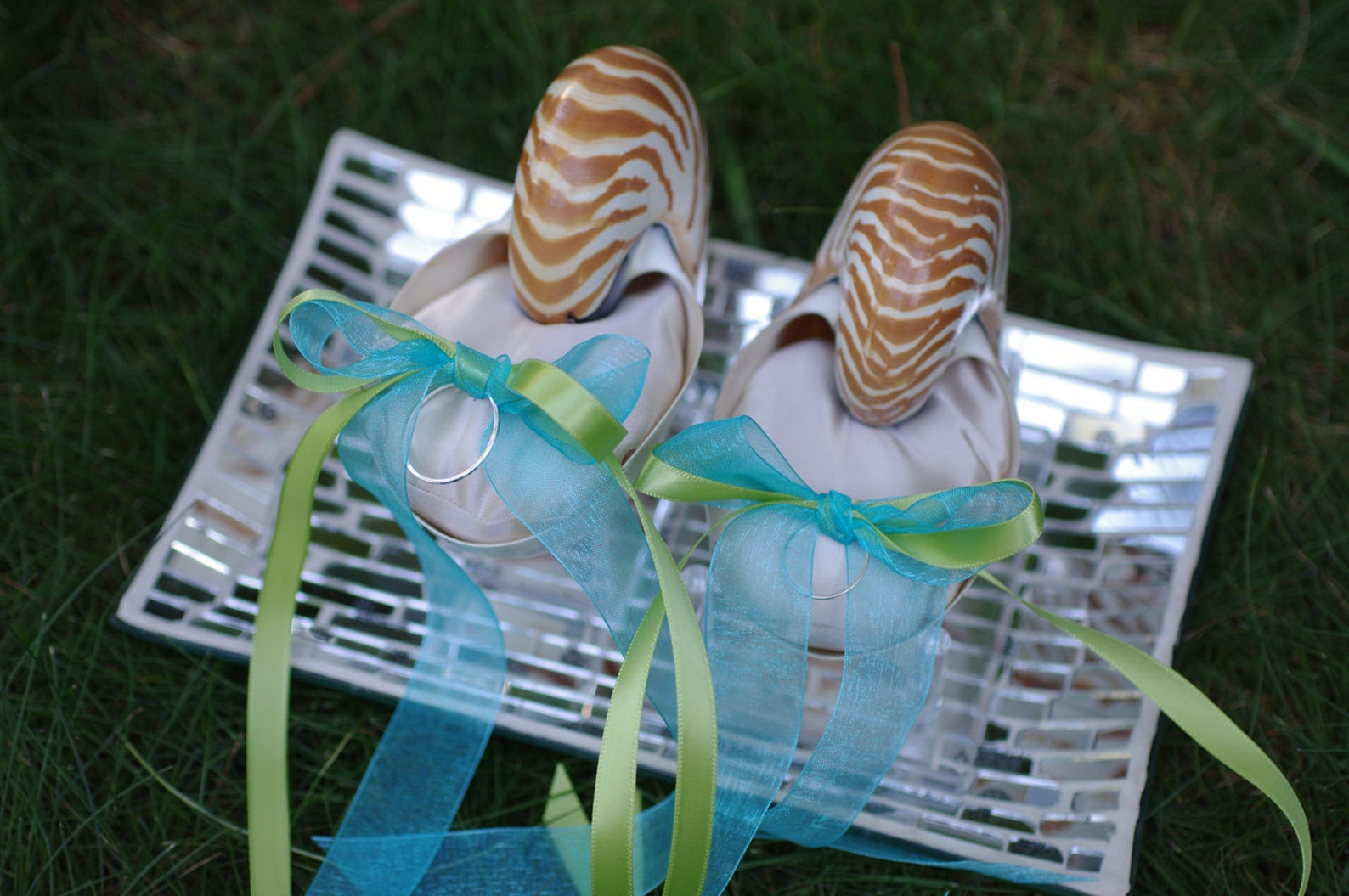 Beach Wedding Double Ring Bearer Nautilus Shell Ring Bearer - Etsy