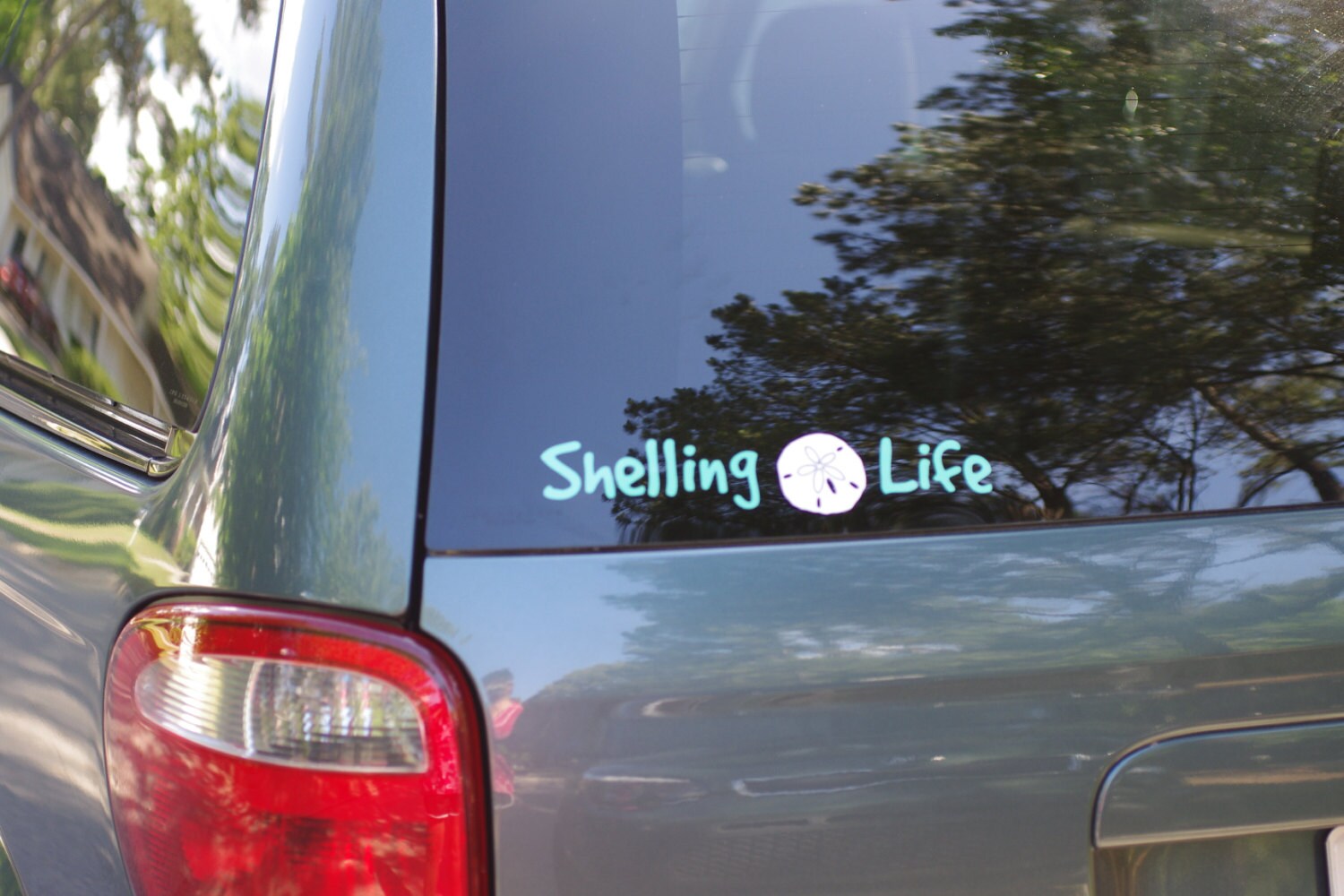 Shelling Life® Vinyl Decal Beach Decal Shell Decal - Etsy