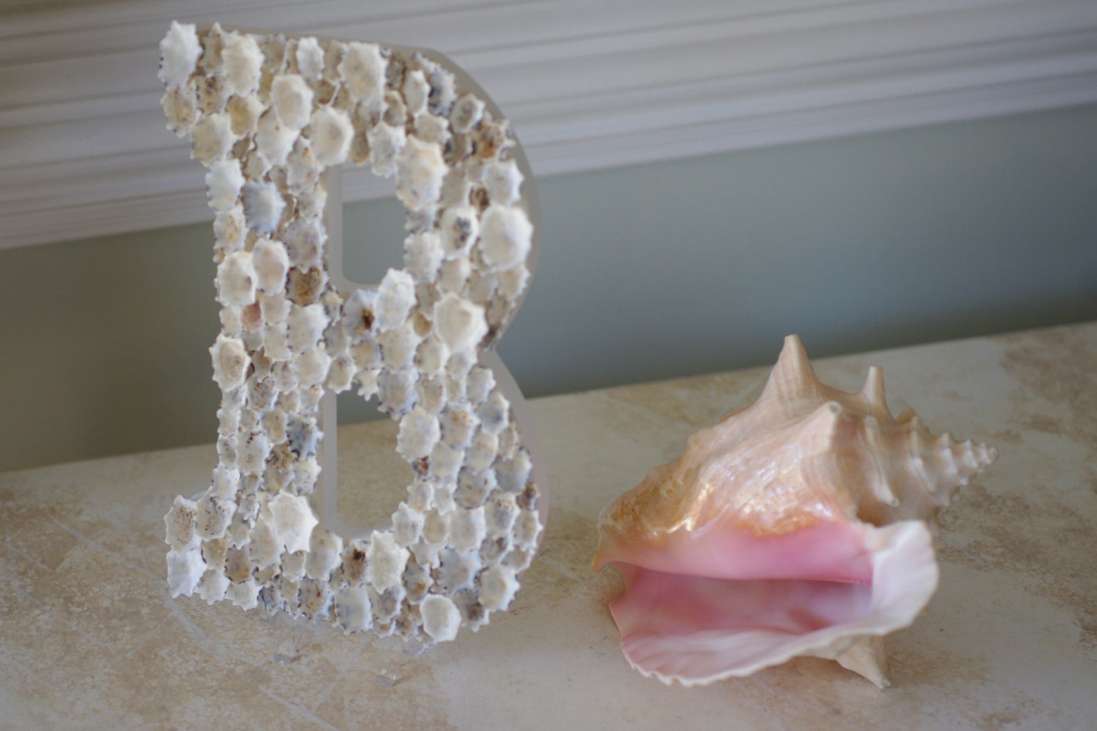 Acrylic Stand letter Stand or Seashell Stand - Etsy