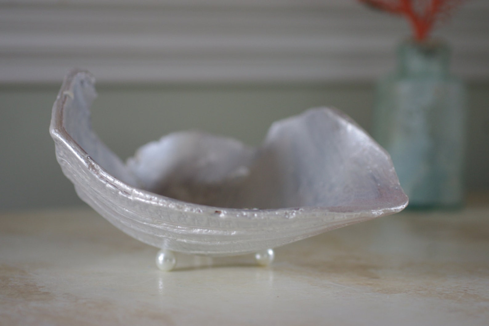 Conch Shell Trinket Dish | Etsy