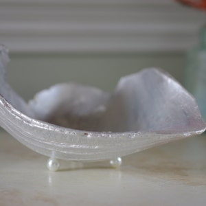 Conch Shell Trinket Dish - Etsy