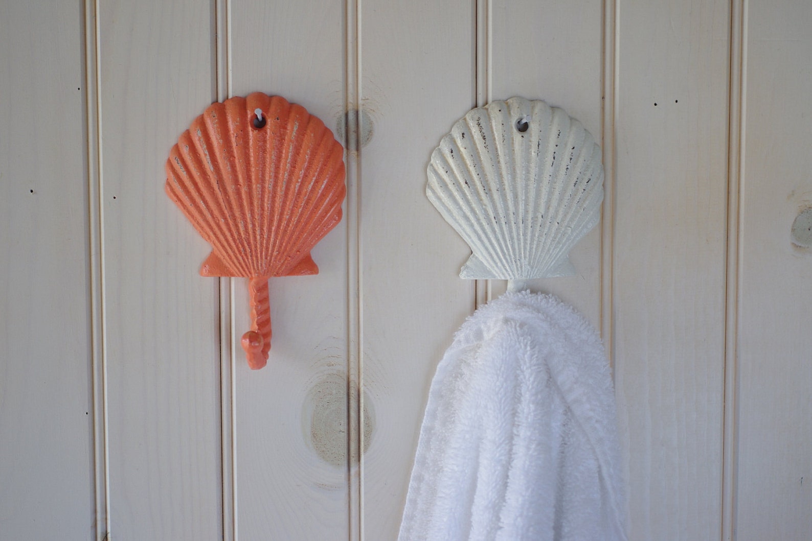 Seashell Wall Hook - Etsy