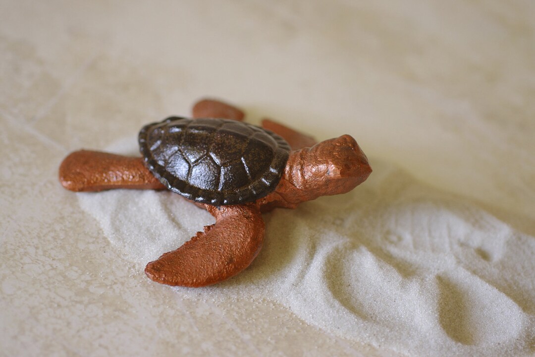 Beach Decor Cast Iron Baby Sea Turtle - Bronze and Brown - Etsy