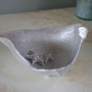 Conch Shell Trinket Dish - Etsy