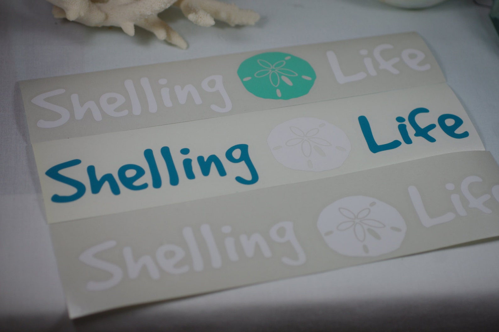 Shelling Life® Vinyl Decal Beach Decal Shell Decal - Etsy