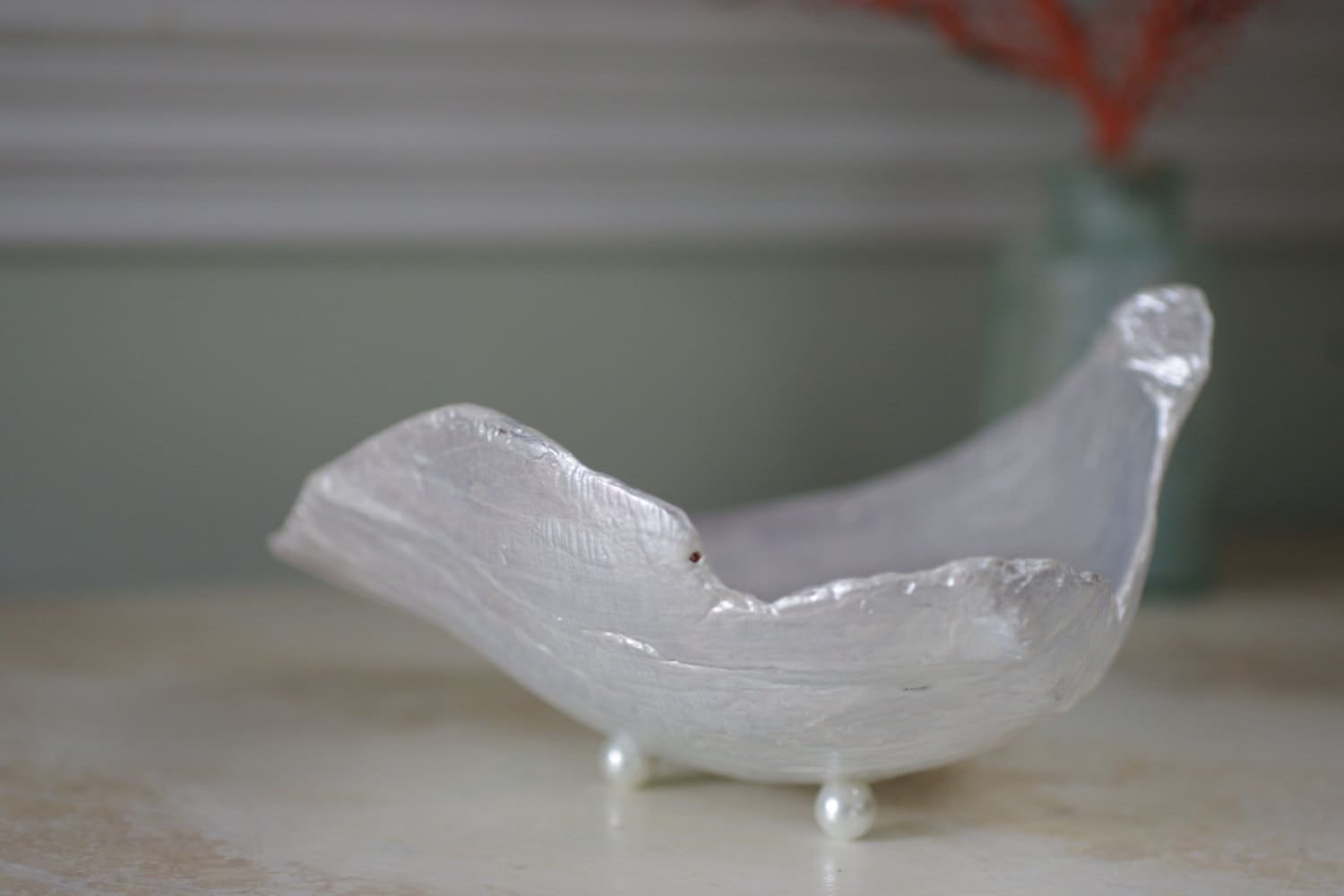 Conch Shell Trinket Dish | Etsy