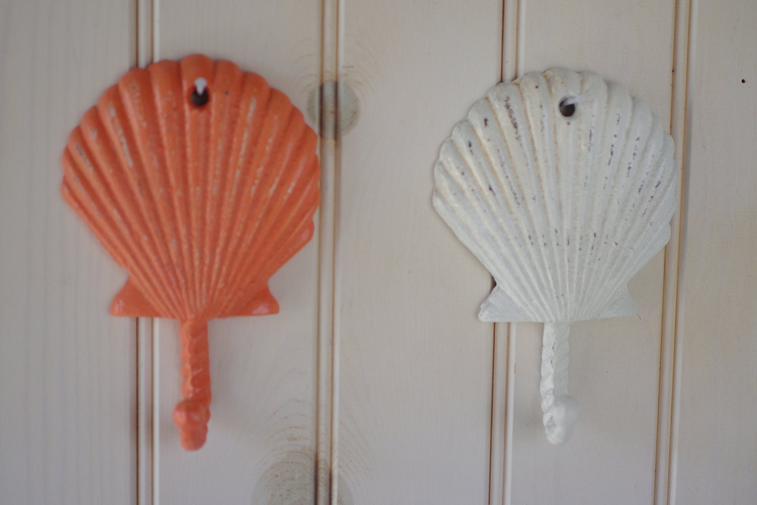 Seashell Wall Hook - Etsy