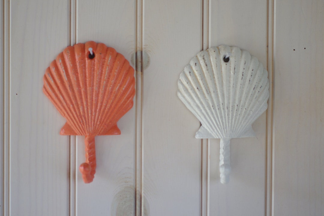 Seashell Wall Hook - Etsy