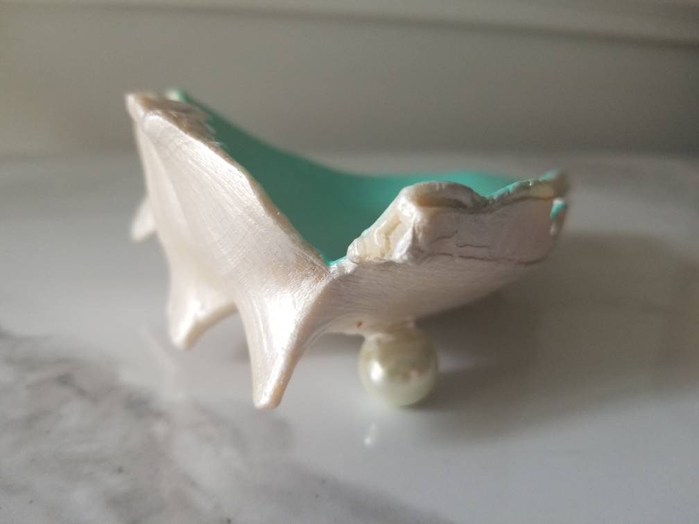 Conch Shell Trinket Dish With Aqua | Etsy
