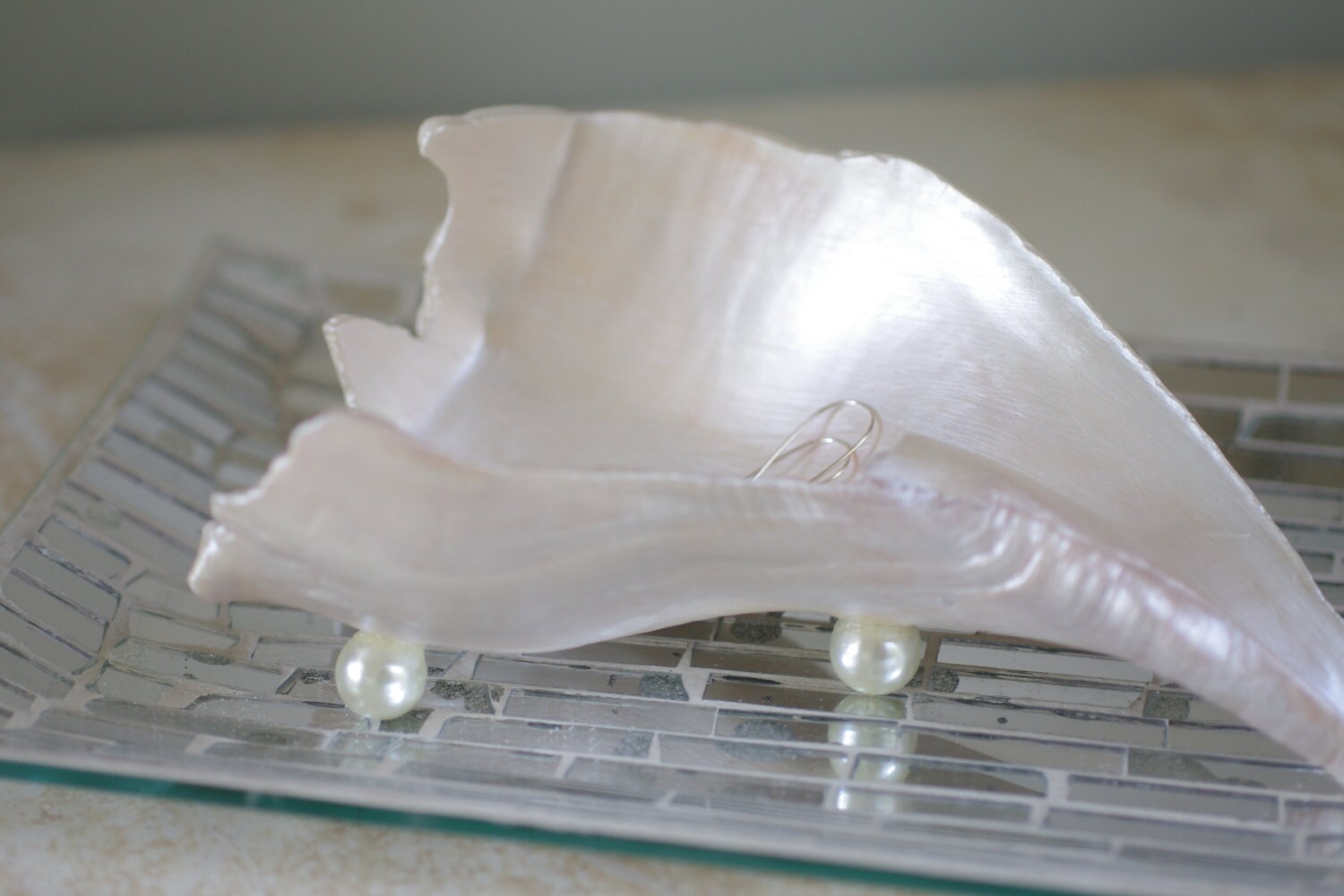 Conch Shell Trinket Dish | Etsy