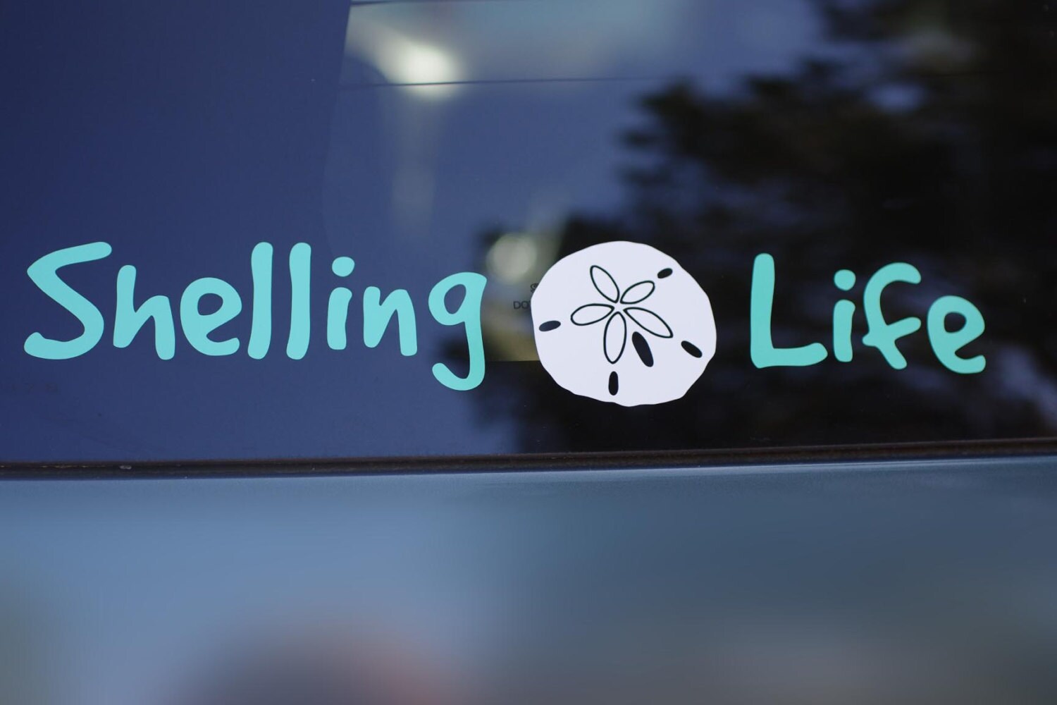 Shelling Life® Vinyl Decal Beach Decal Shell Decal - Etsy