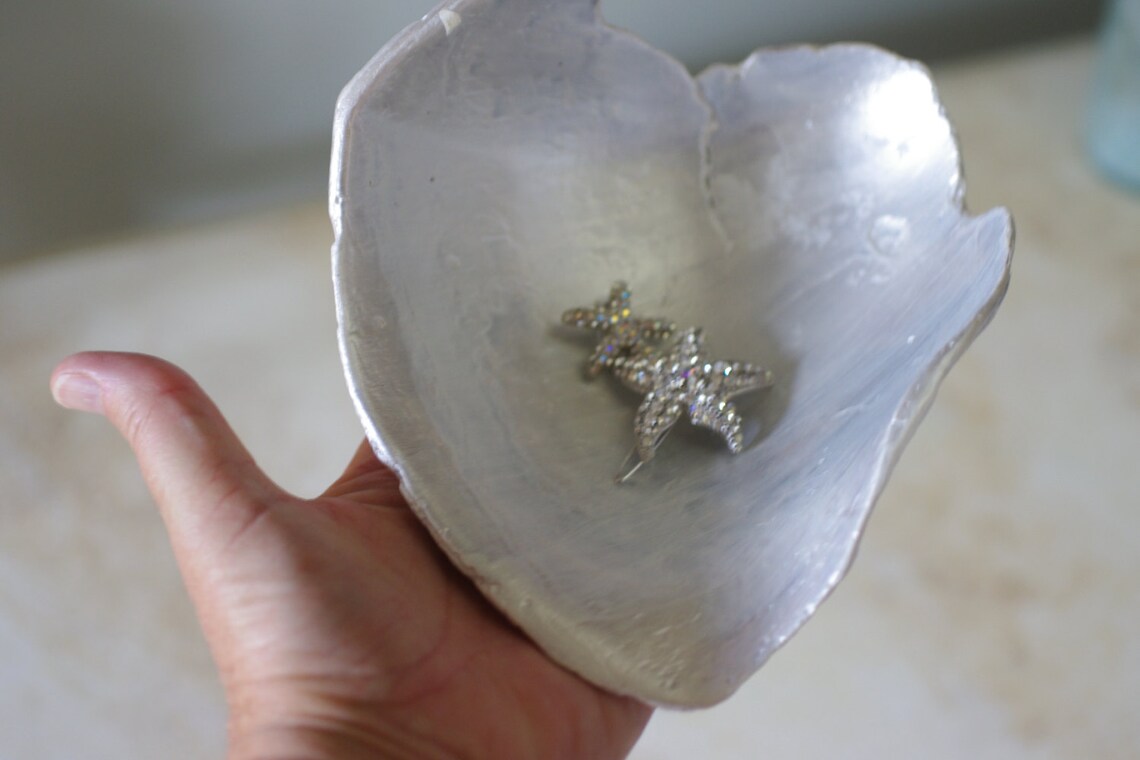 Conch Shell Trinket Dish | Etsy