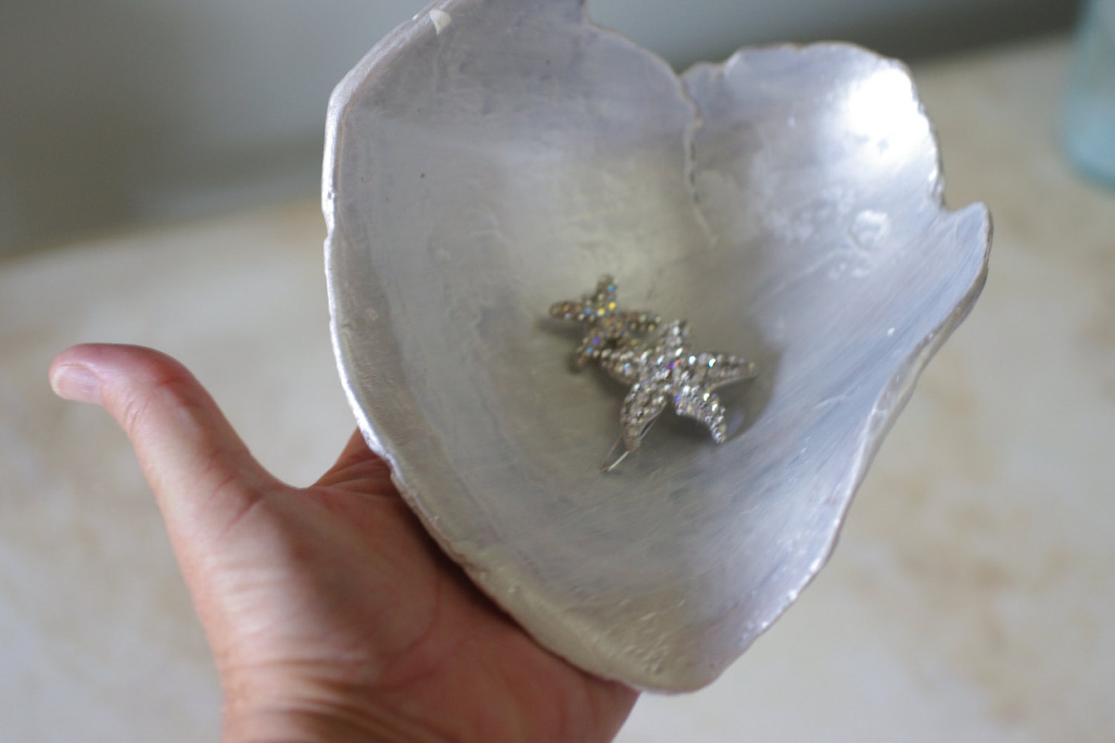 Conch Shell Trinket Dish | Etsy