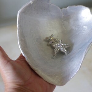 Conch Shell Trinket Dish - Etsy