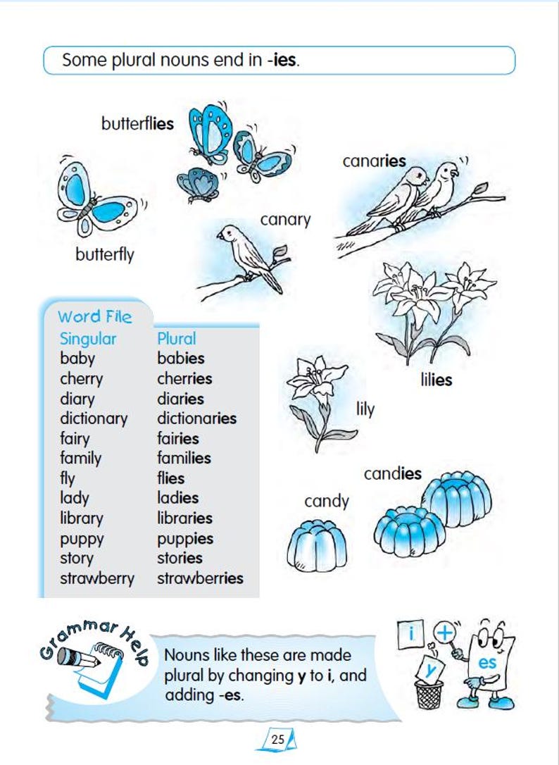 Basic English Grammar Guide & Workbook: ESL Self-study (PDF Download) - Etsy