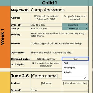 Summer Camp Planner/organization Spreadsheet for 2025 - Etsy