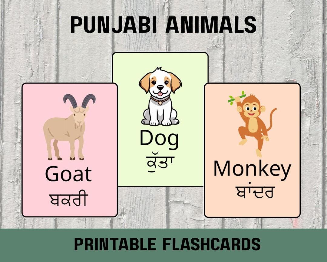 Punjabi & English Animal Flashcards for Kids | Gurmukhi Bilingual ...